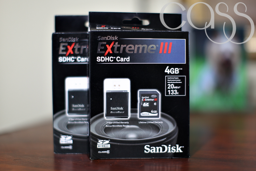 Key West Wedding Photographer | Cassandra-M Photography LLC | sandisk ...